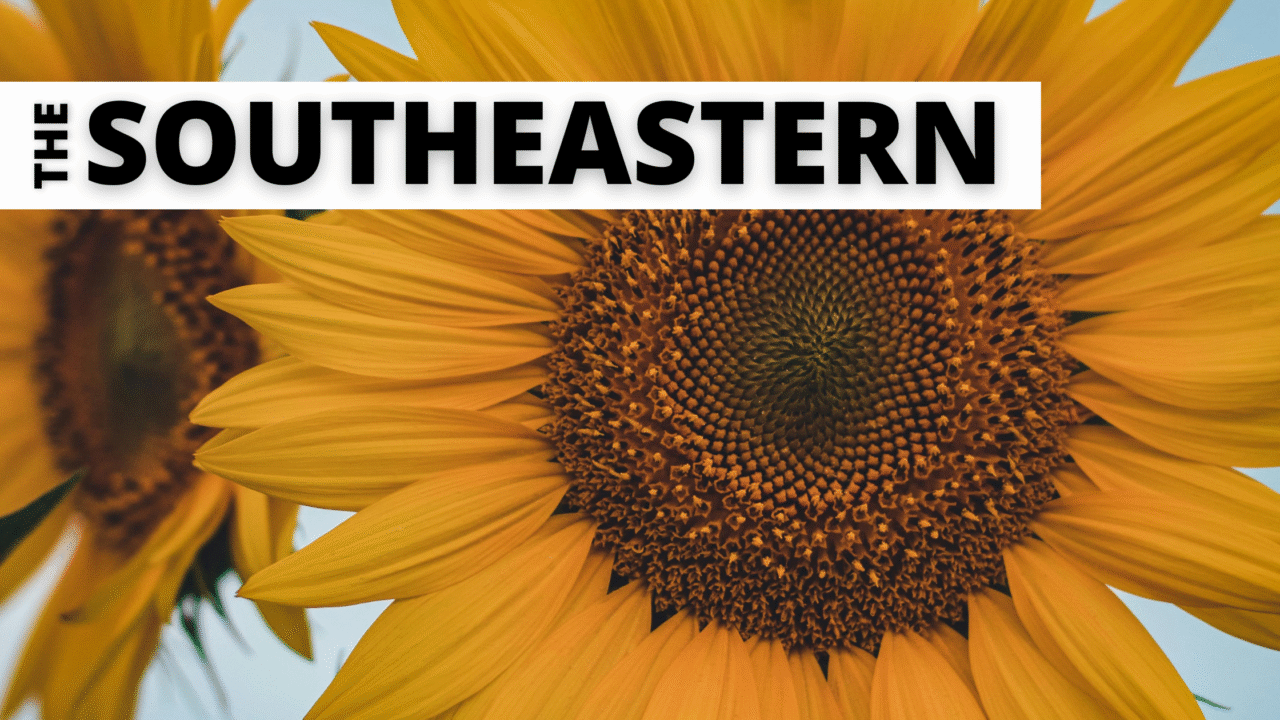 August 2025 Newsletter – KW Southeast Region